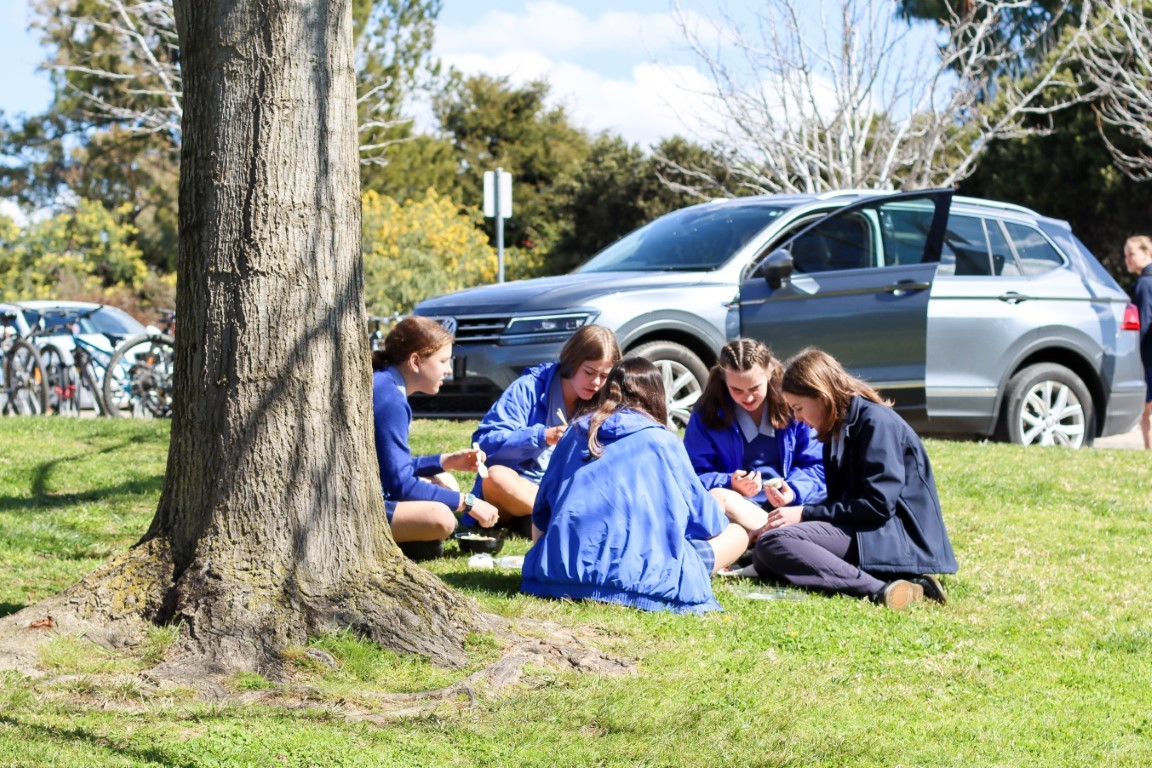 Bento Bonanza | St Francis Xavier College